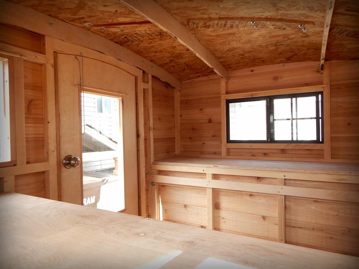 Half Shell — Casual Turtle Campers